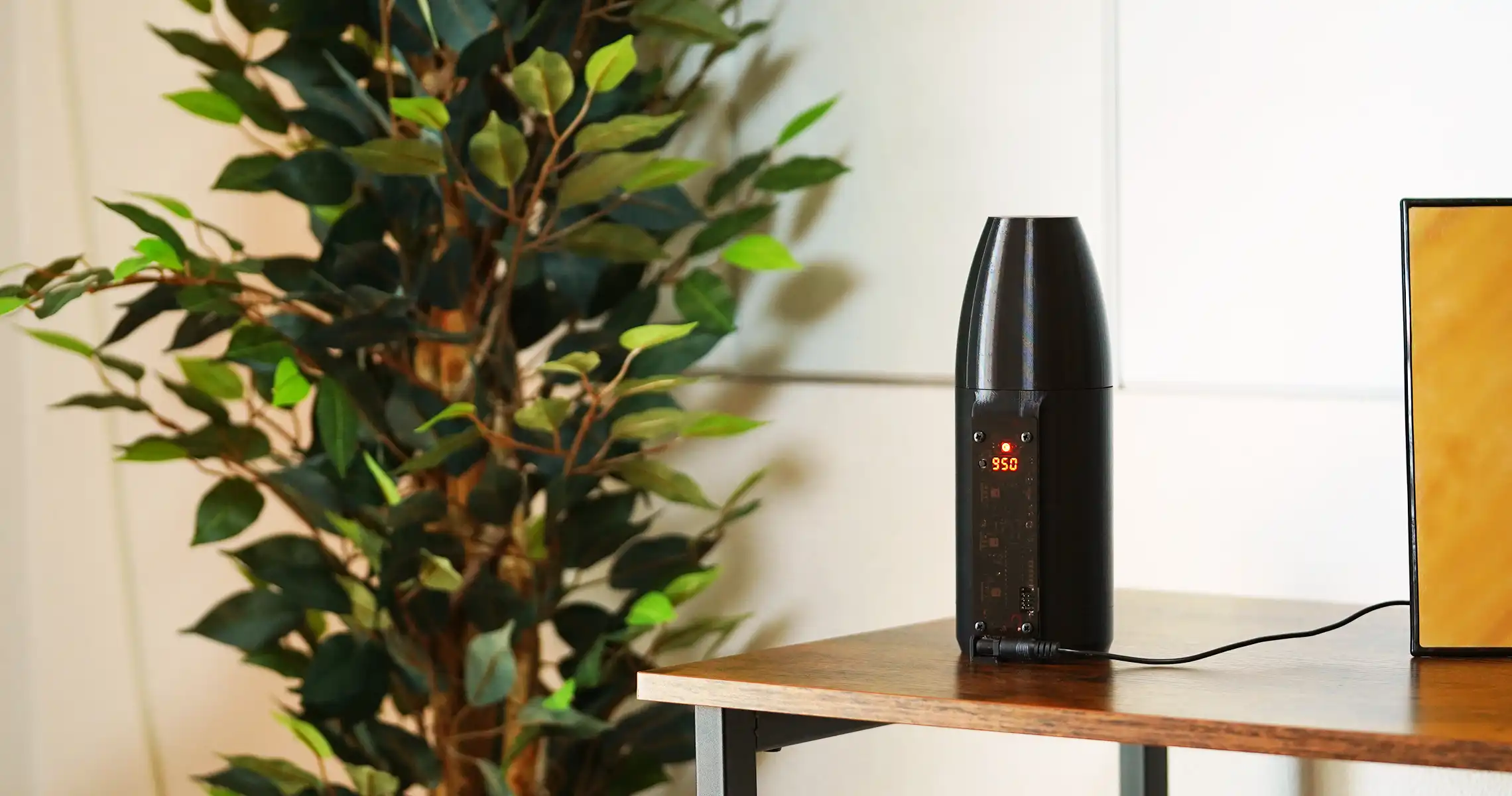 Niboshiのアクアリウム